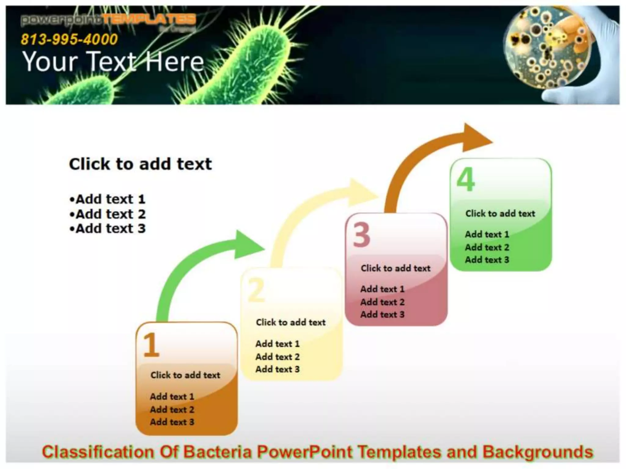 Classification of bacteria power point templates and backgrounds | PPTX