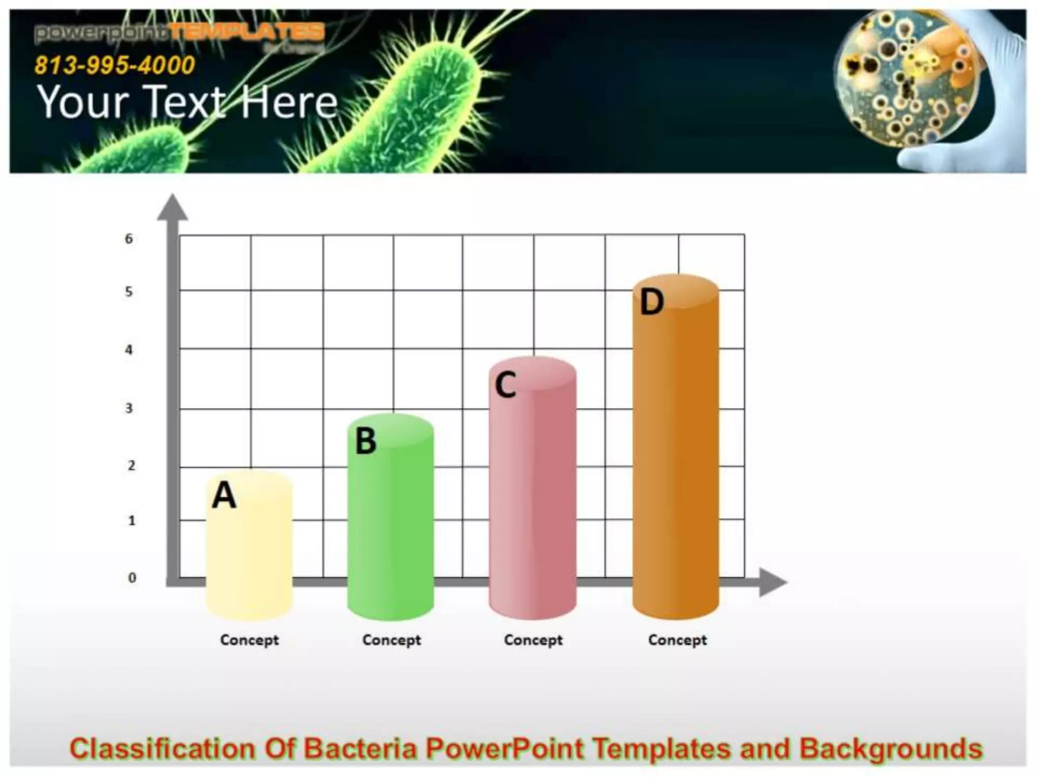 Classification of bacteria power point templates and backgrounds | PPTX