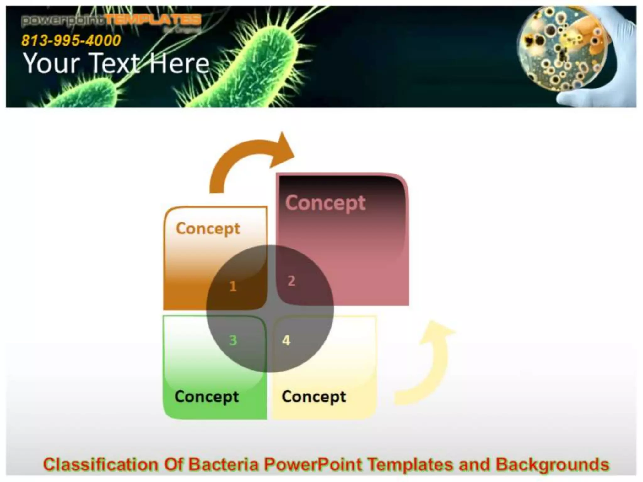 Classification of bacteria power point templates and backgrounds | PPTX