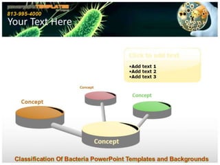 Classification of bacteria power point templates and backgrounds | PPT