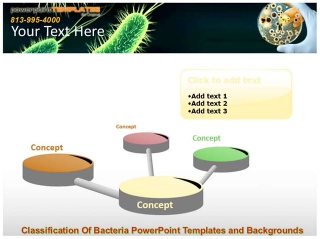 Classification of bacteria power point templates and backgrounds | PPTX