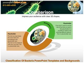 Classification of bacteria power point templates and backgrounds | PPT