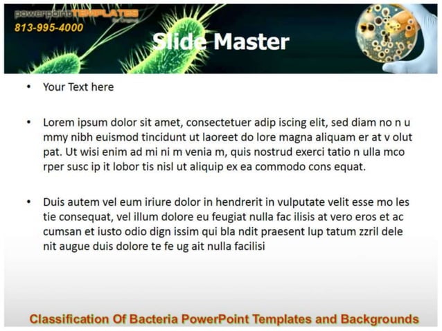 Classification of bacteria power point templates and backgrounds | PPTX