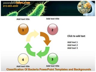 Classification of bacteria power point templates and backgrounds | PPT