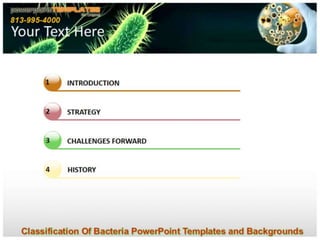 Classification of bacteria power point templates and backgrounds | PPT