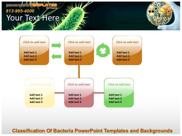 Classification of bacteria power point templates and backgrounds | PPTX