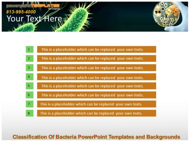 Classification of bacteria power point templates and backgrounds | PPTX