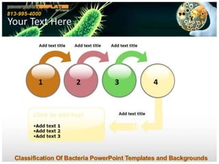 Classification of bacteria power point templates and backgrounds | PPTX