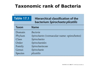 Classification of Bacteria_Year 2_3Nov22 (1).ppt