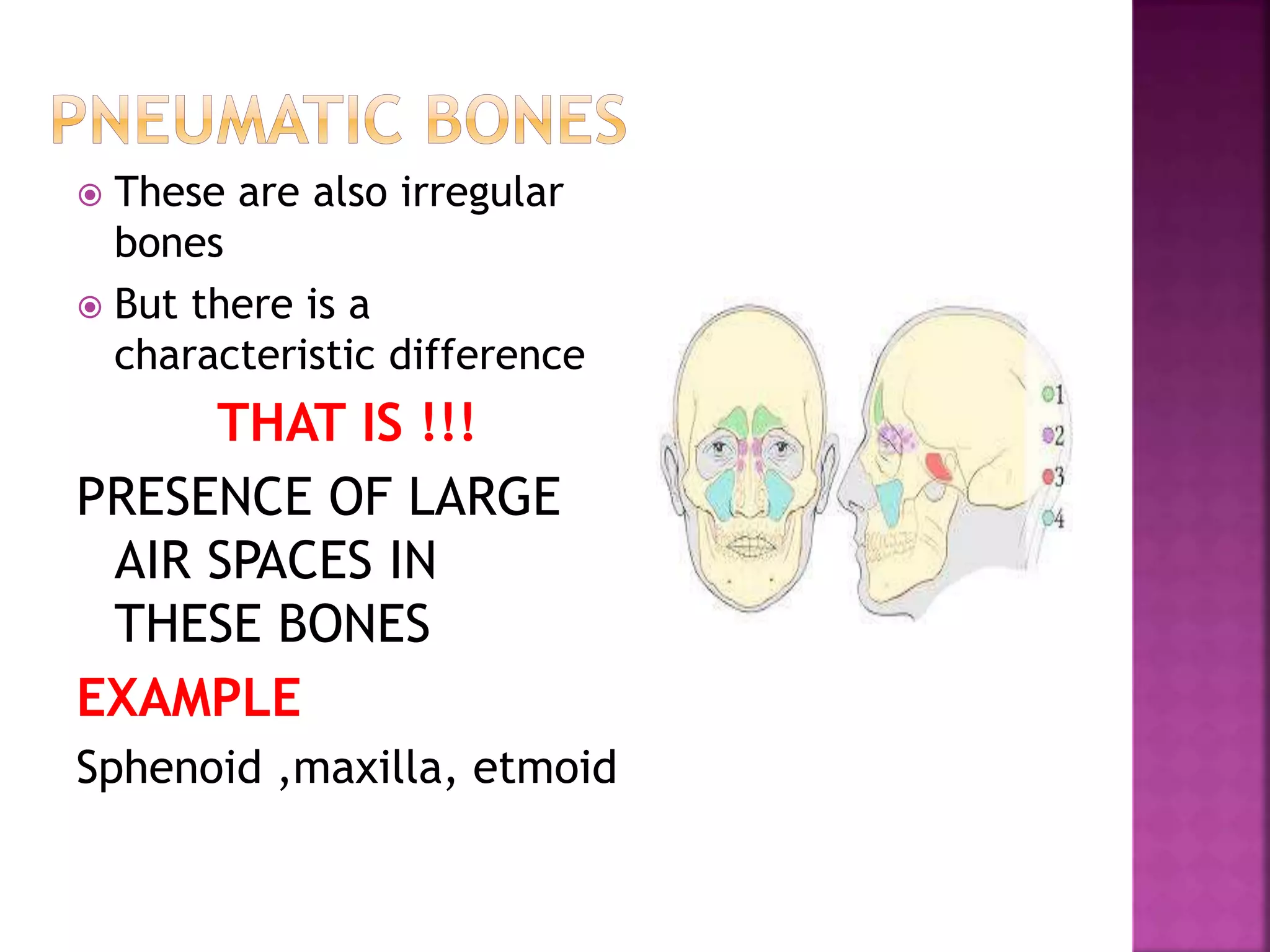 Bones and its classification | PPTX