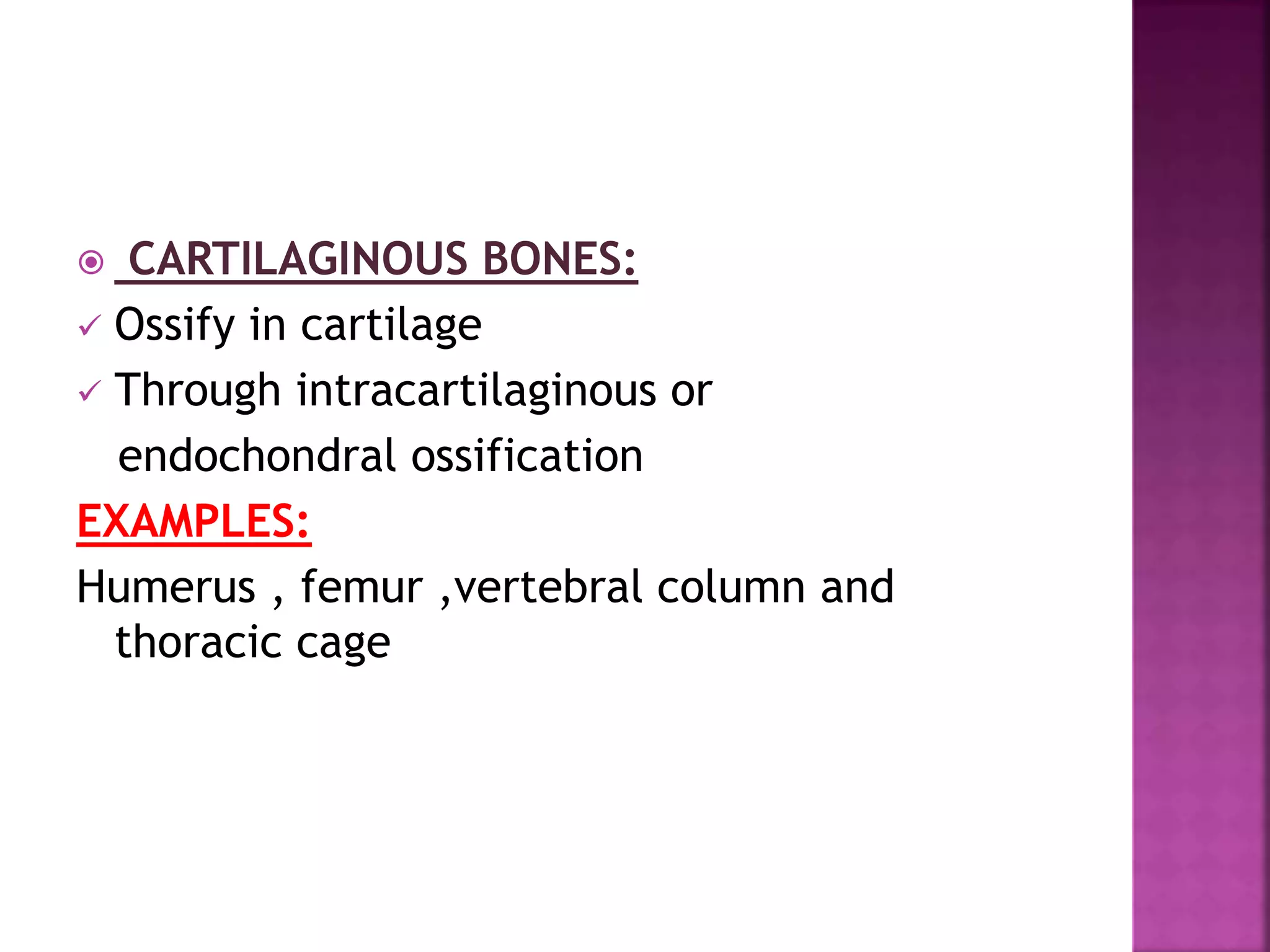 Bones and its classification | PPTX