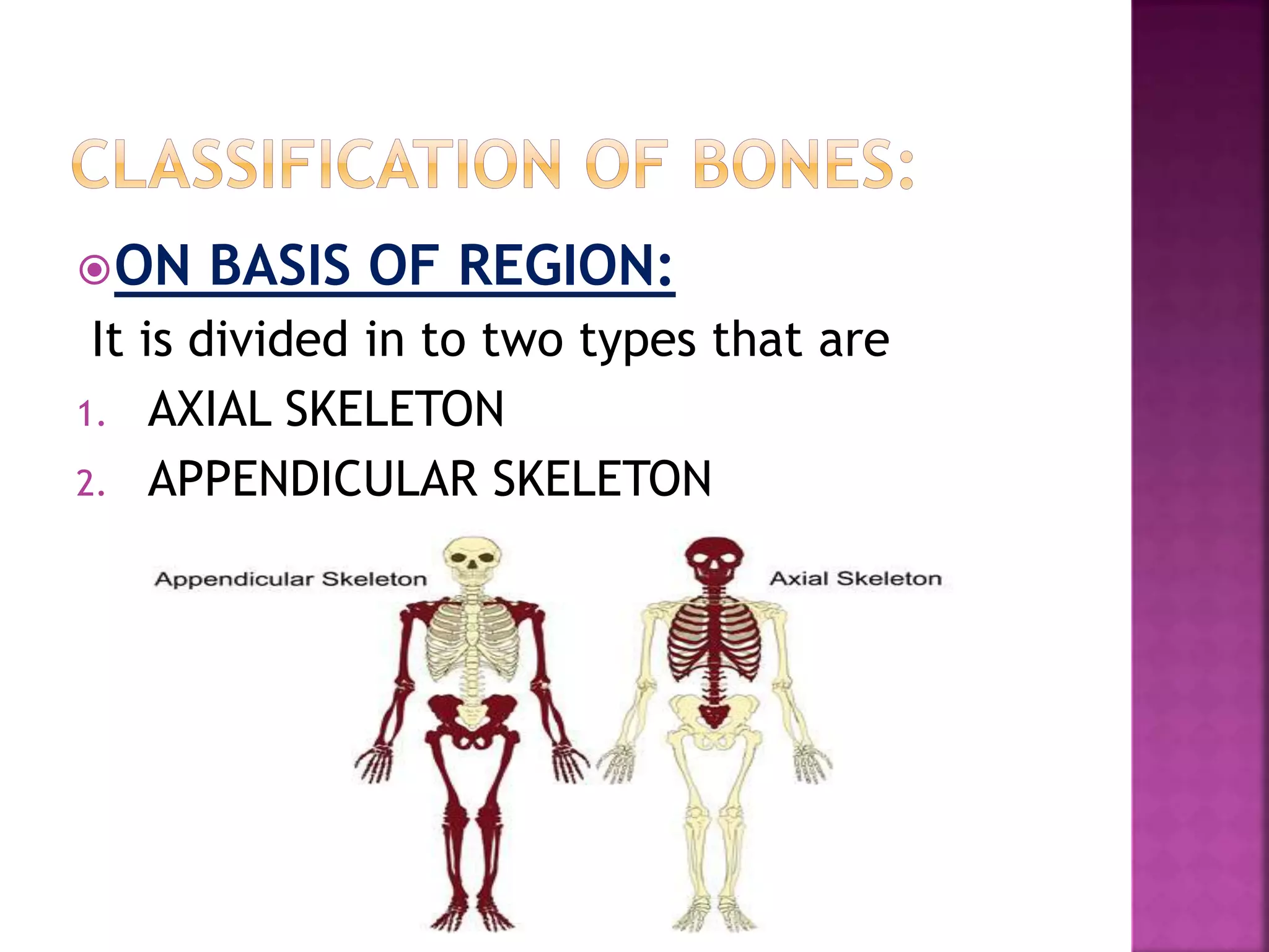 Bones and its classification | PPTX