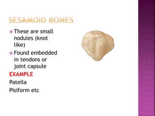 Bones and its classification | PPTX
