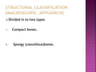 Bones and its classification | PPTX