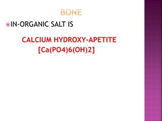 Bones and its classification | PPTX