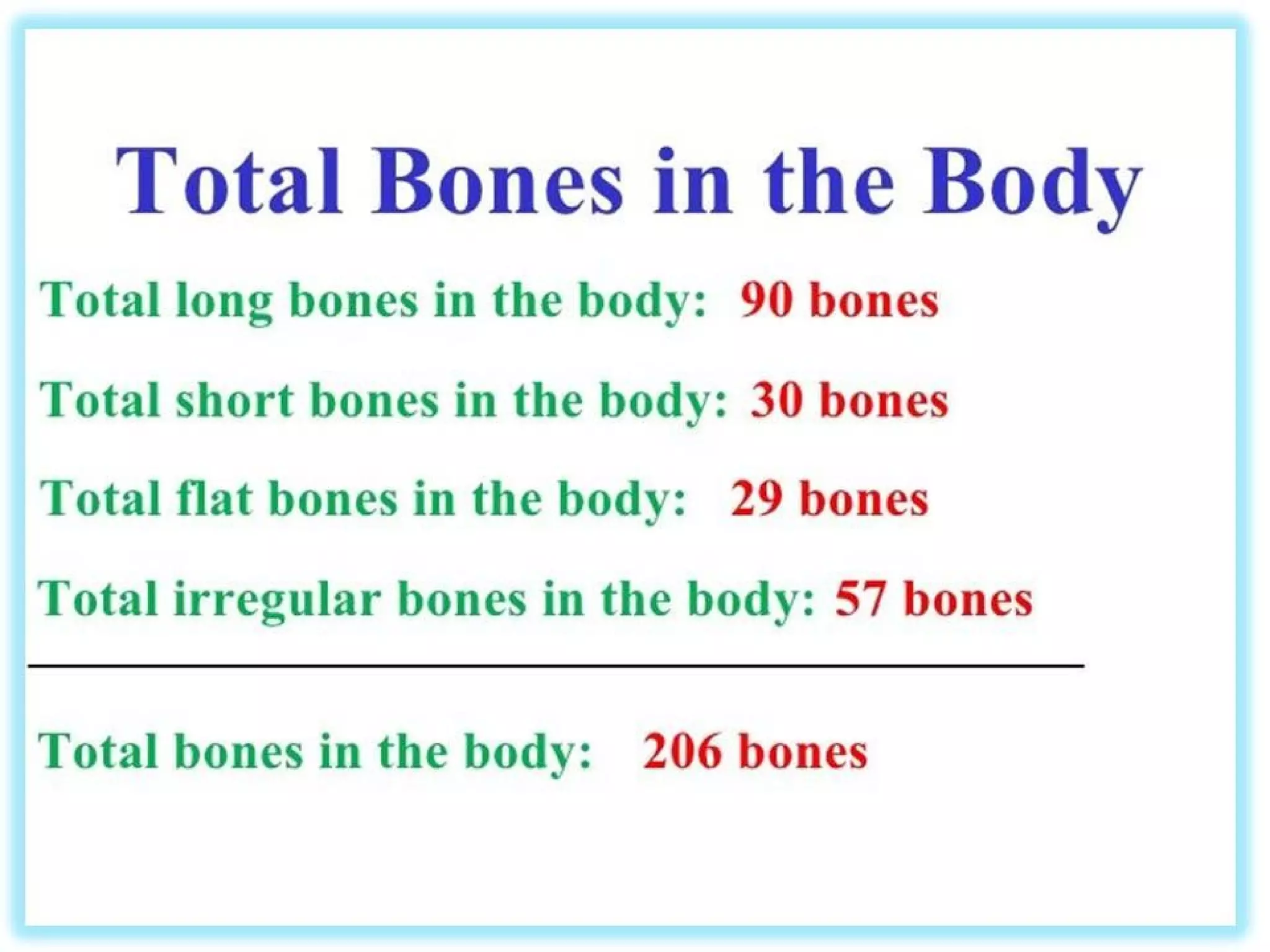 Classification of bones by Dr. S. N. singh | PPT