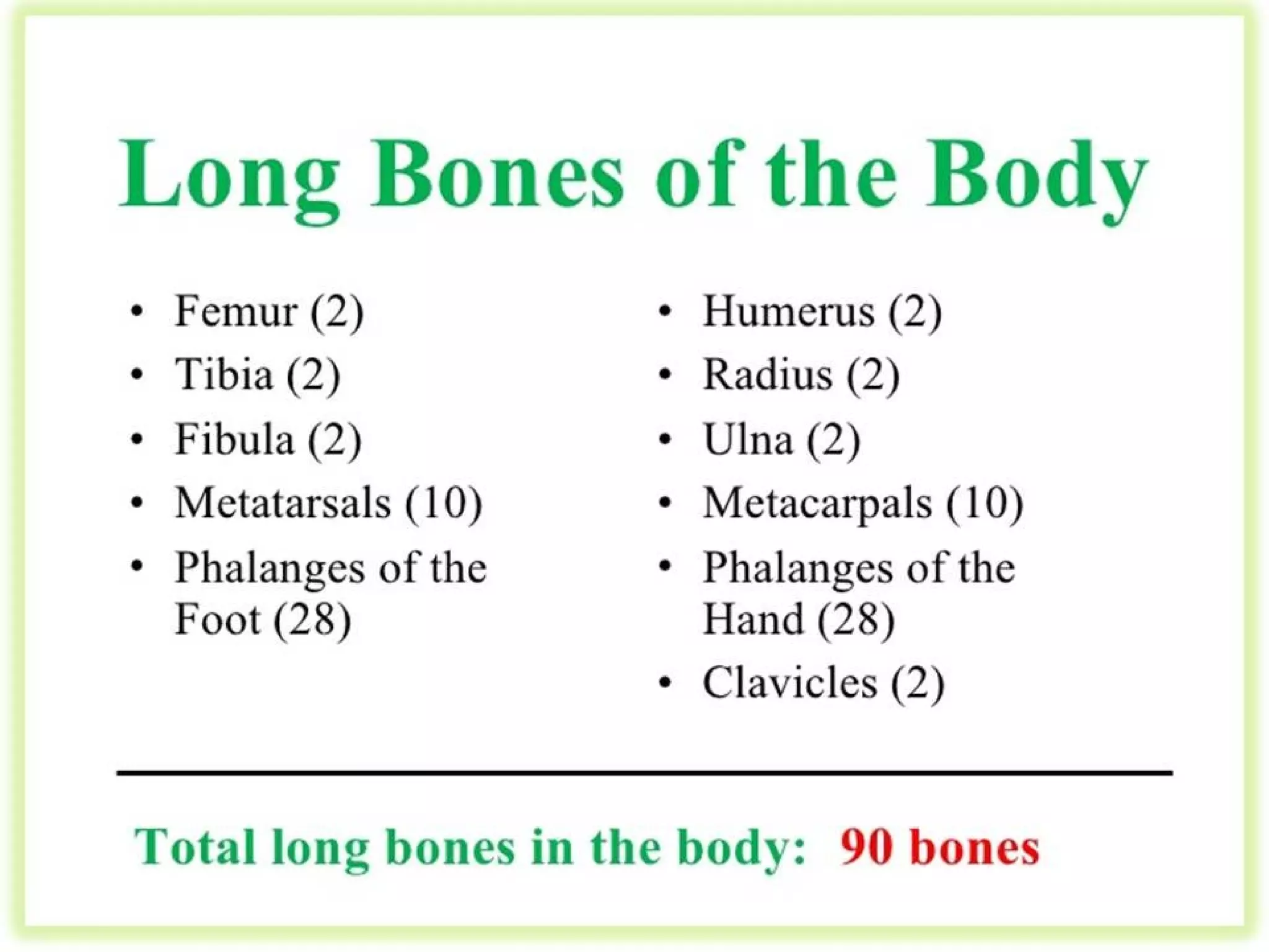 Classification of bones by Dr. S. N. singh | PPT