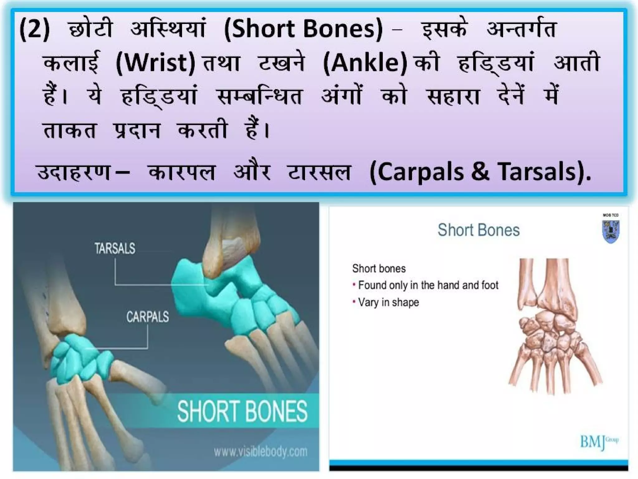 Classification of bones by Dr. S. N. singh | PPT