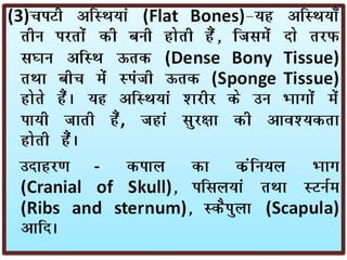 Classification of bones by Dr. S. N. singh | PPT
