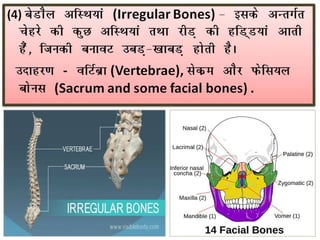 Classification of bones by Dr. S. N. singh | PPT