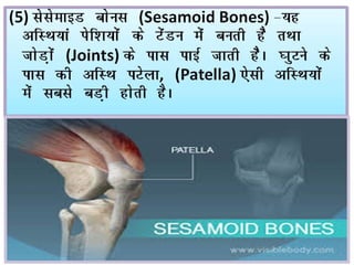 Classification of bones by Dr. S. N. singh | PPT
