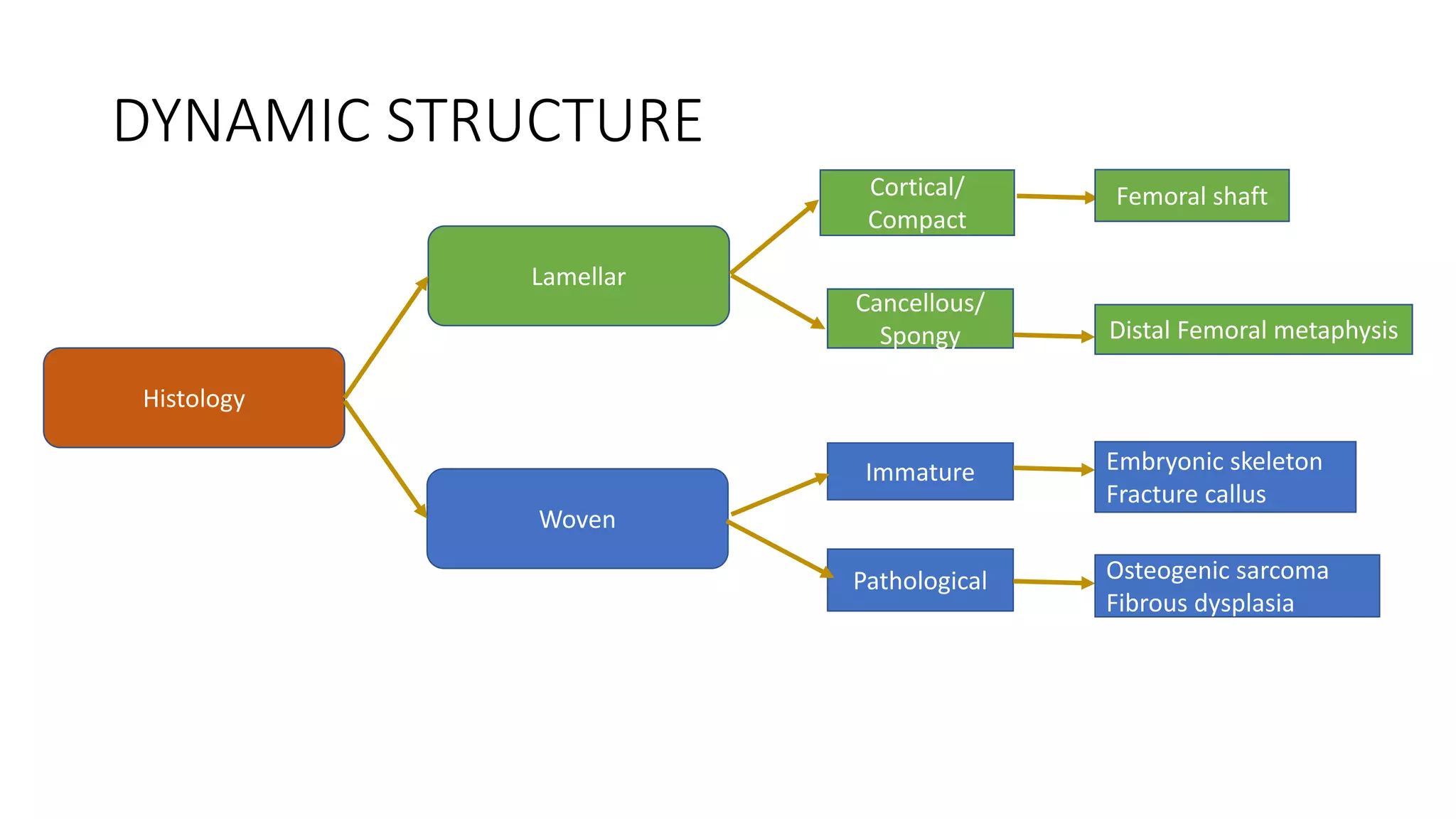 Classification of bones and Anatomy of a long bone | PPTX