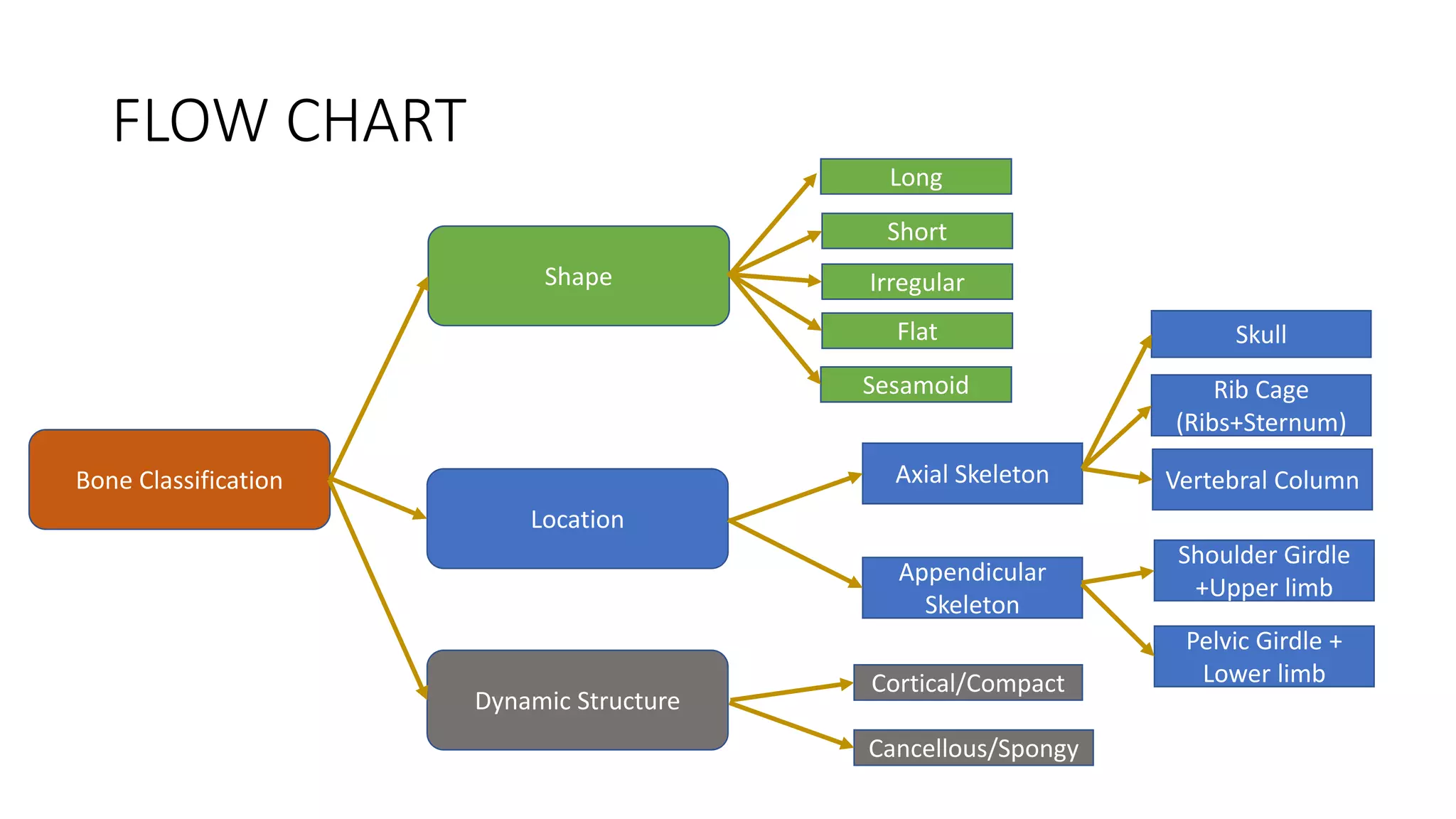 Classification of bones and Anatomy of a long bone | PPTX