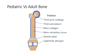 Classification of bones and Anatomy of a long bone | PPTX