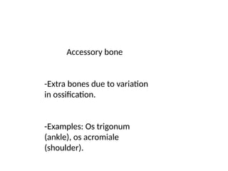 Classification_of_Bones presentation | PPT