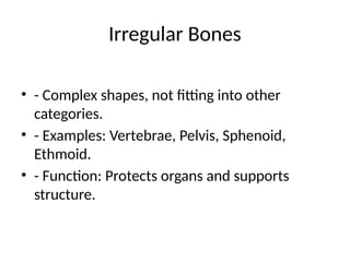 Classification_of_Bones presentation | PPT