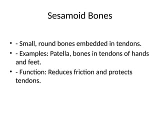 Classification_of_Bones presentation | PPTX