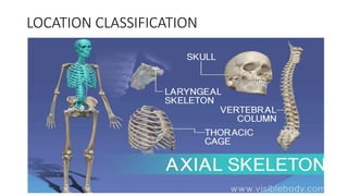 Skeletal sysytem classification of bones.pptx