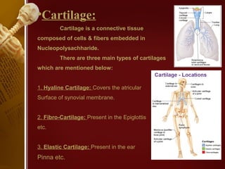 classificationofbonesanatomy-150725135414-lva1-app6891.pdf