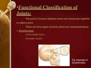 classificationofbonesanatomy-150725135414-lva1-app6891.pptx