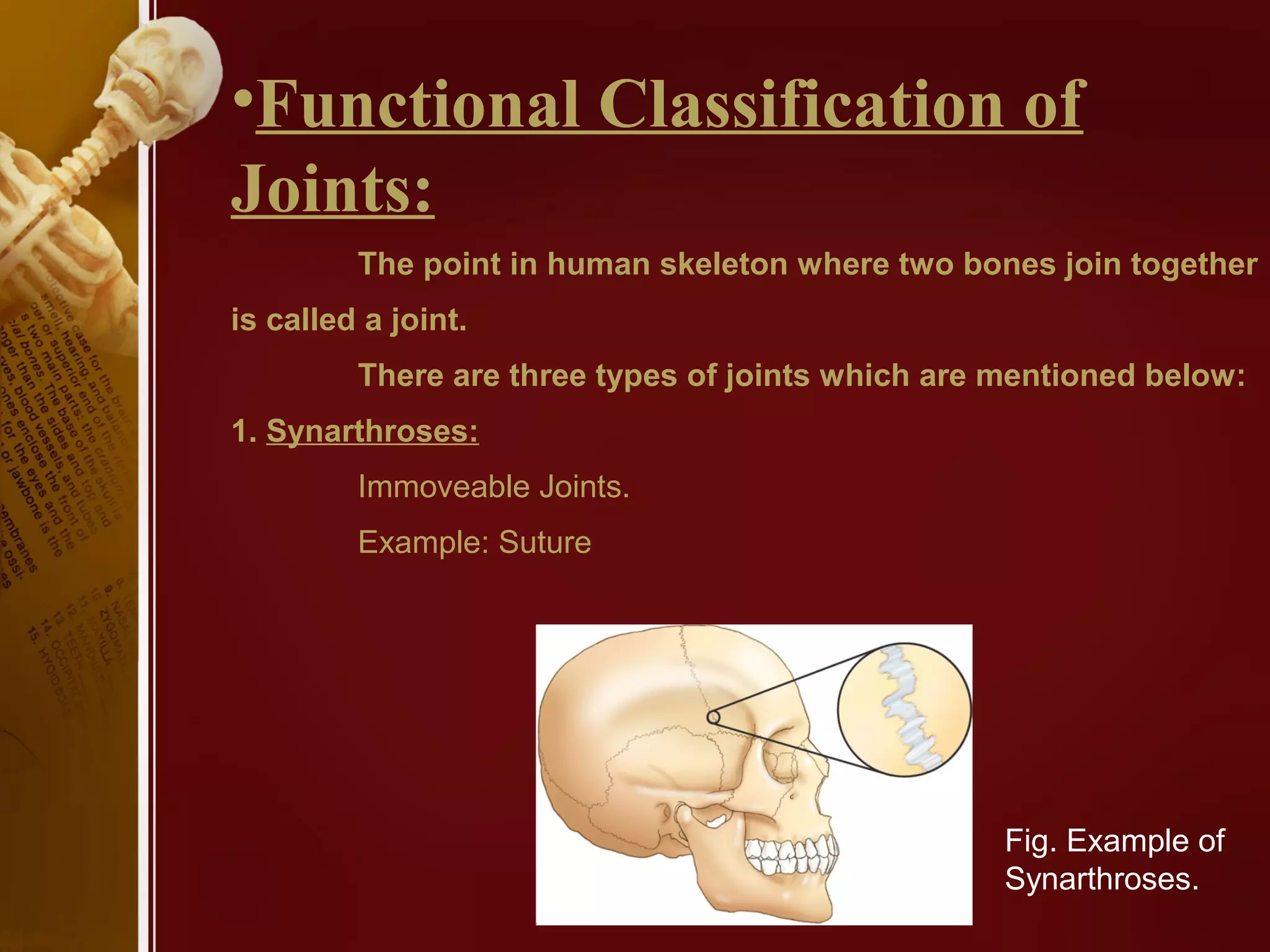 Classification of bones (anatomy) | PPT