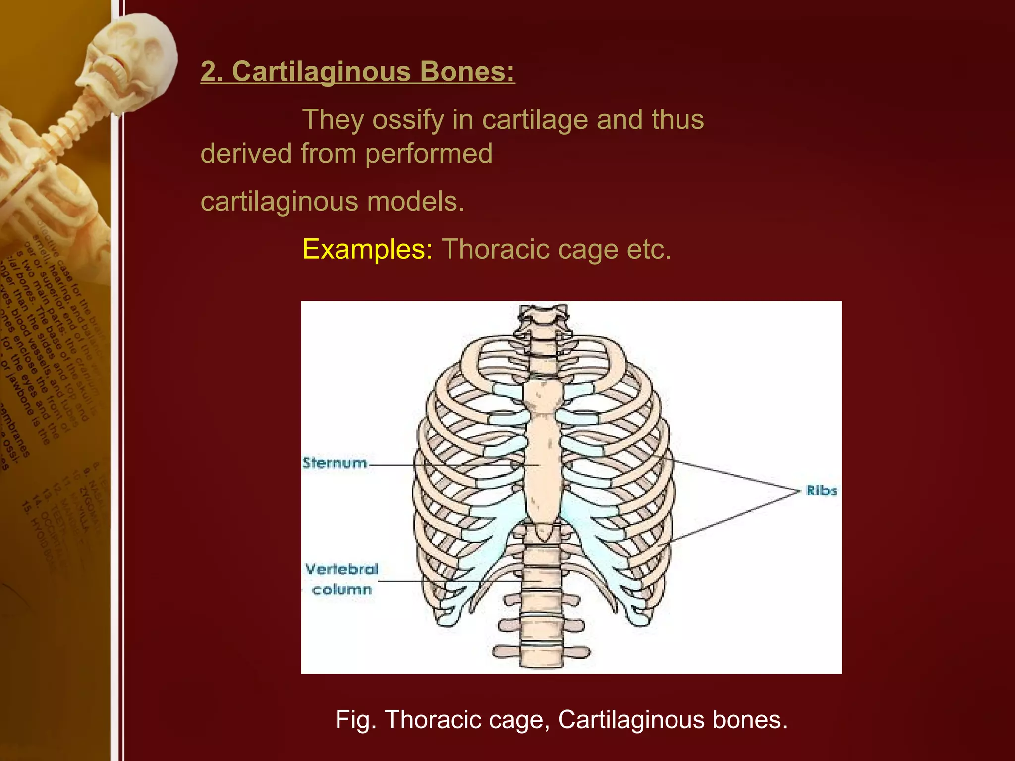 Classification of bones (anatomy) | PPT