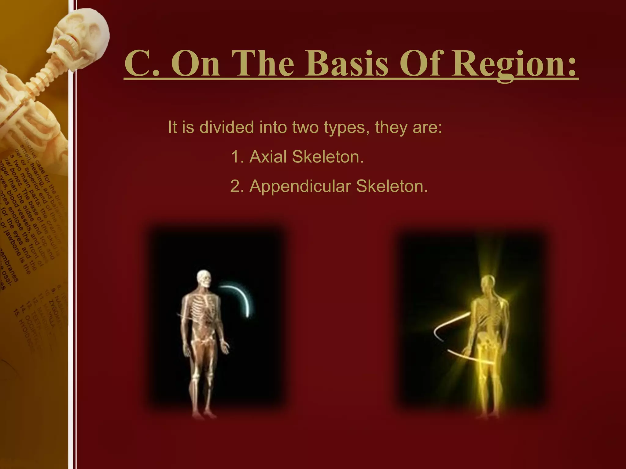 Classification of bones (anatomy) | PPT