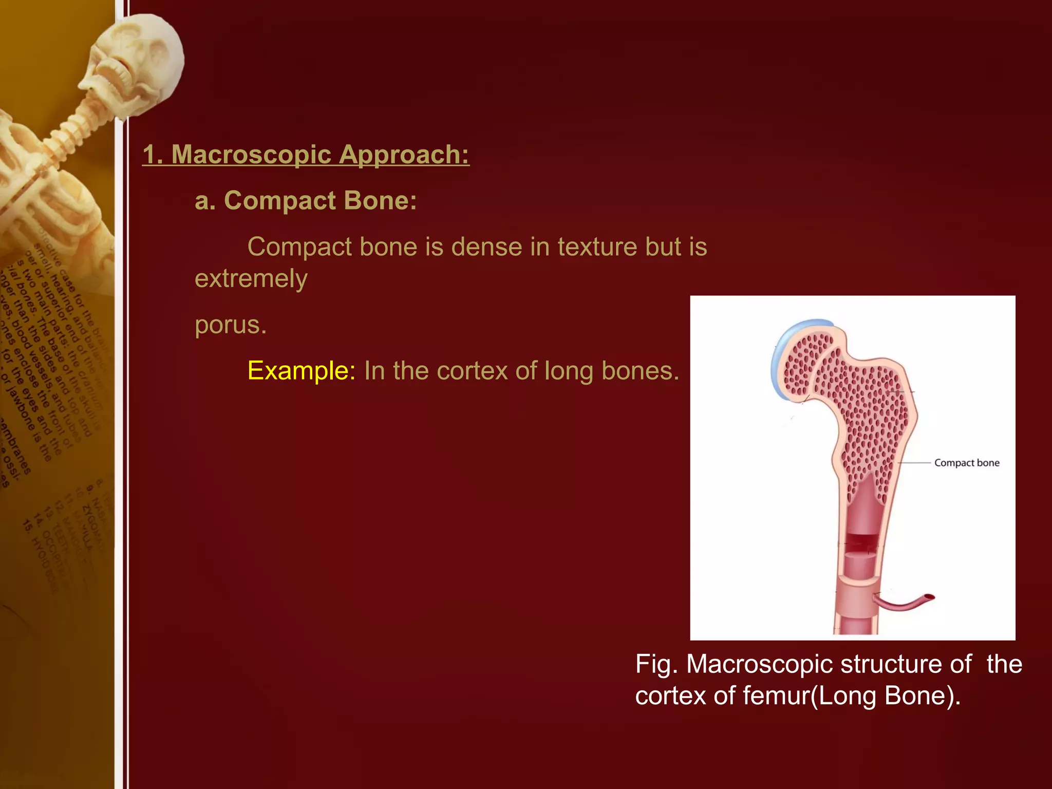 Classification of bones (anatomy) | PPT