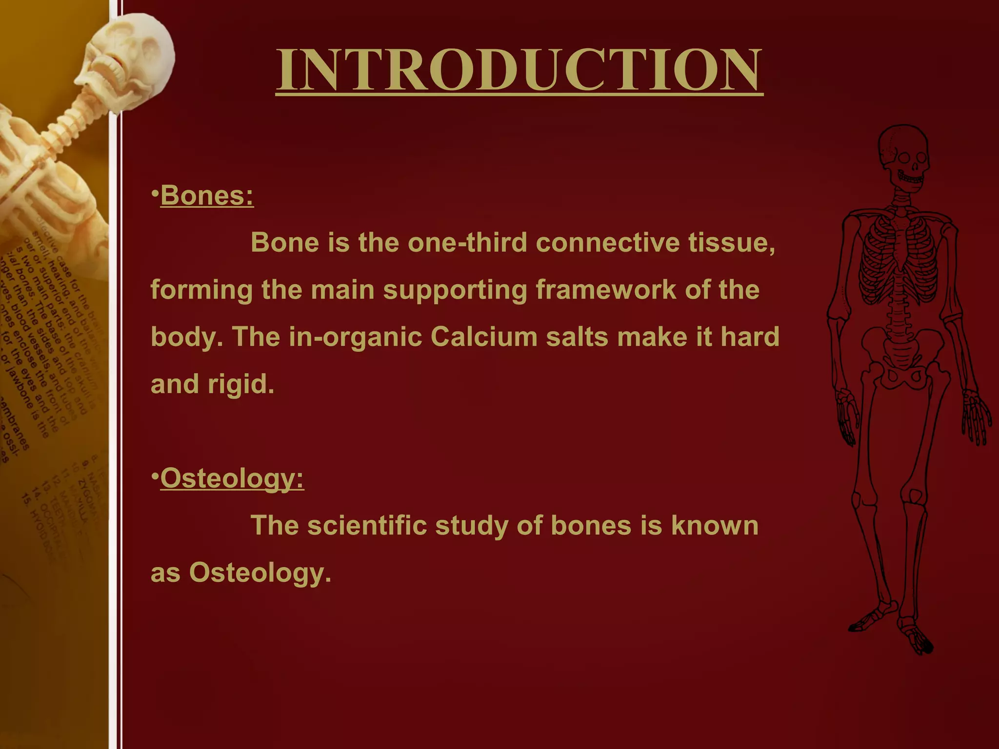 Classification of bones (anatomy) | PPT