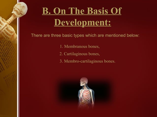Classification of bones (anatomy) | PPT | Death, Injury, or Military ...