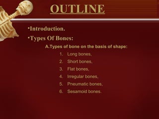 Classification of bones (anatomy) | PPT