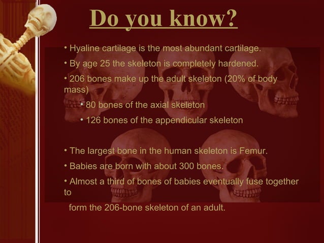 Classification of bones (anatomy) | PPT | Death, Injury, or Military ...