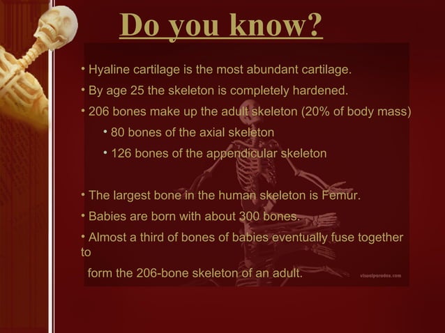 Classification of bones (anatomy) | PPT | Death, Injury, or Military ...