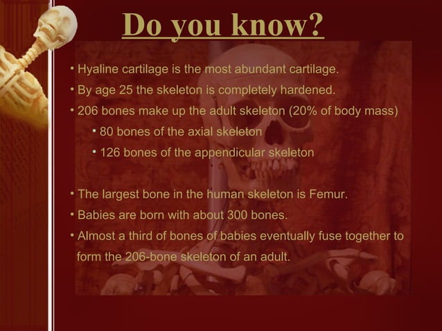 Classification of bones (anatomy) | PPT | Death, Injury, or Military ...