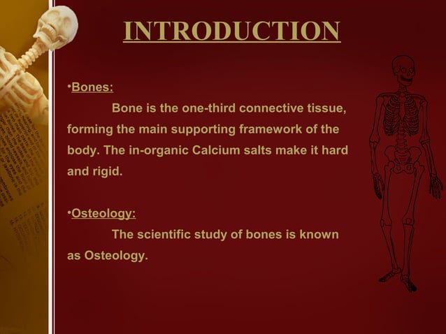 Classification of bones (anatomy) | PPT | Death, Injury, or Military ...