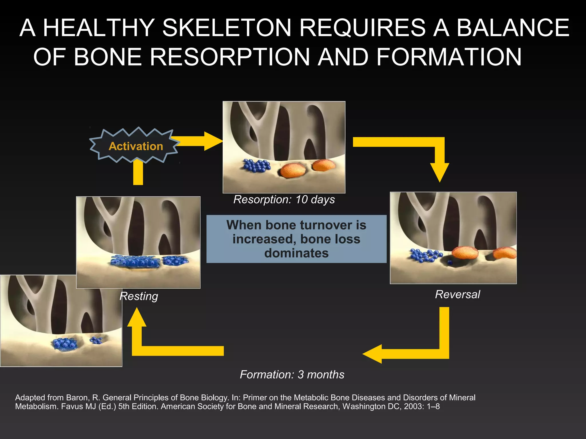 Classification of bones_and_joint_ | PPT