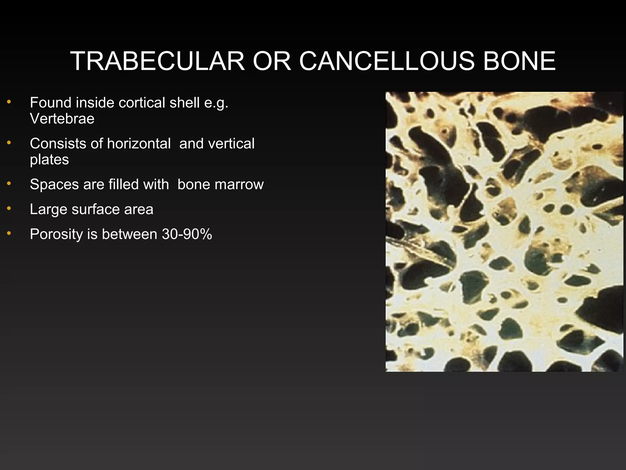 Classification of bones_and_joint_ | PPT