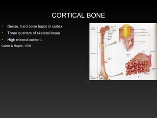 Classification of bones_and_joint_ | PPT