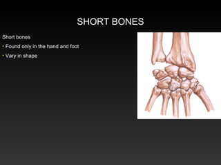 Classification of bones_and_joint_ | PPT