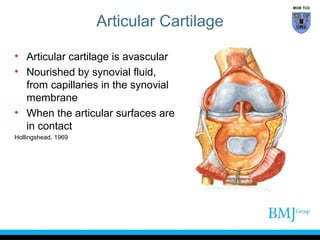 Classification of bones_and_joint_bmj | PPT